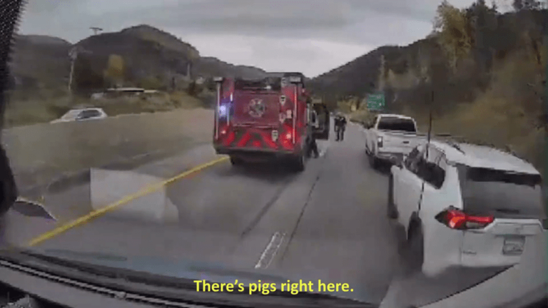 ‘Perfect disguise’: Video shows driver in stolen shuttle bus that hit ...