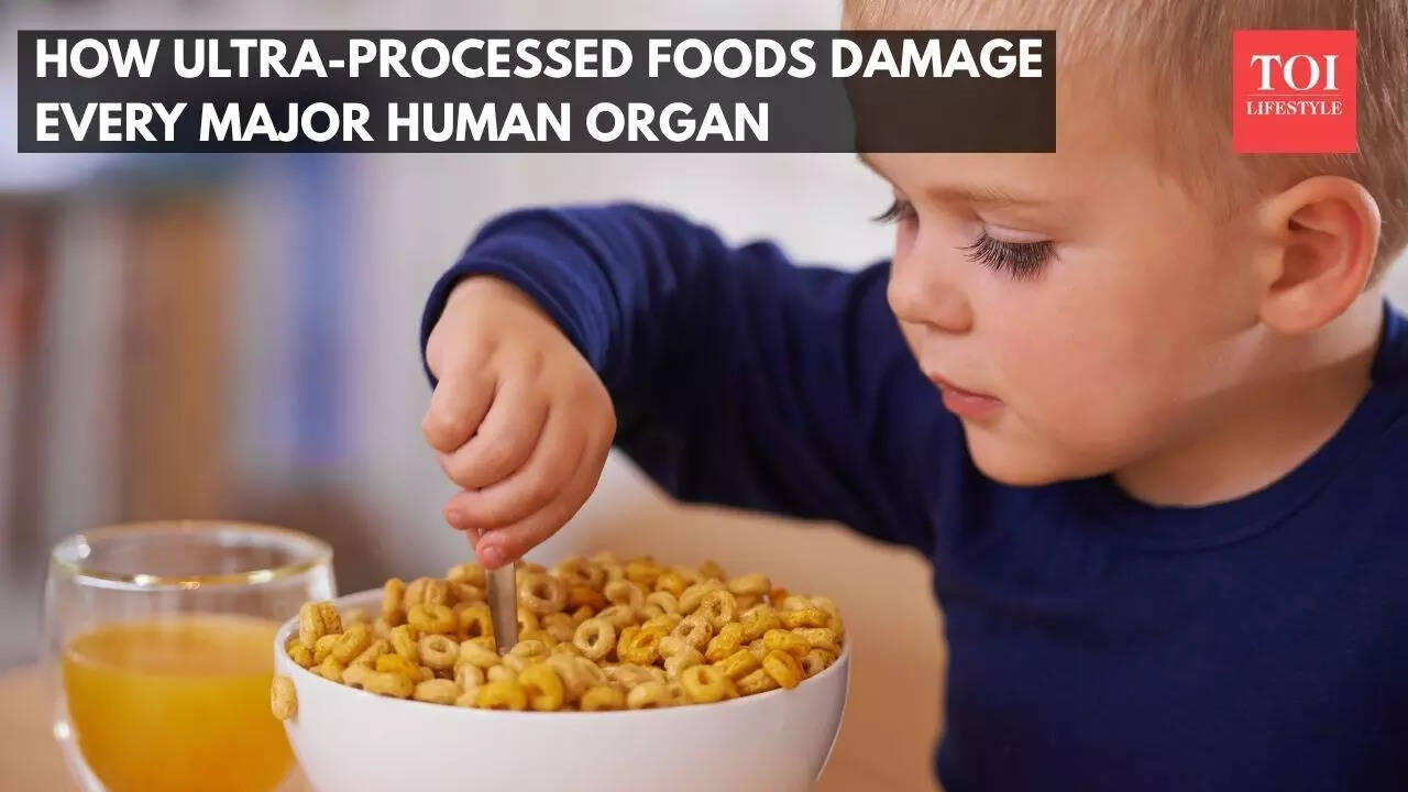 Just a bite? How ultra-processed foods damage every major human organ