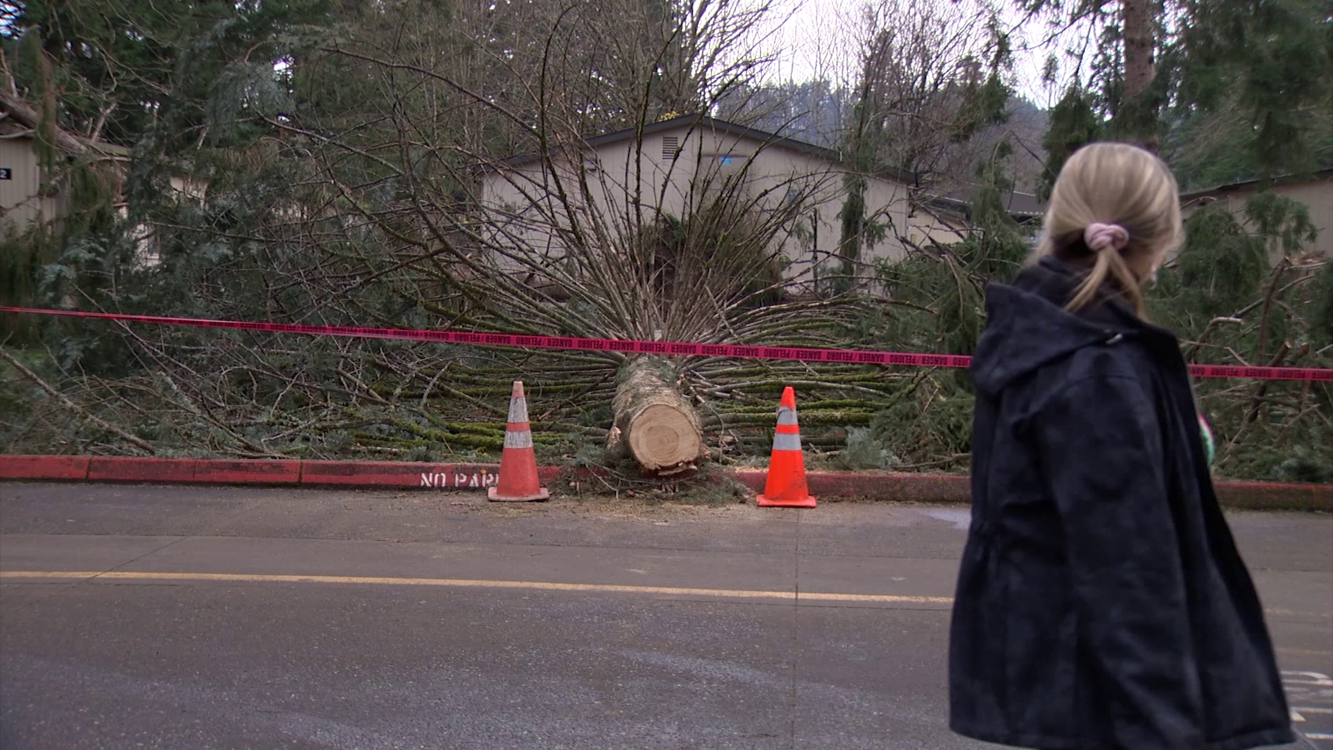 Issaquah schools still recovering from bomb cyclone