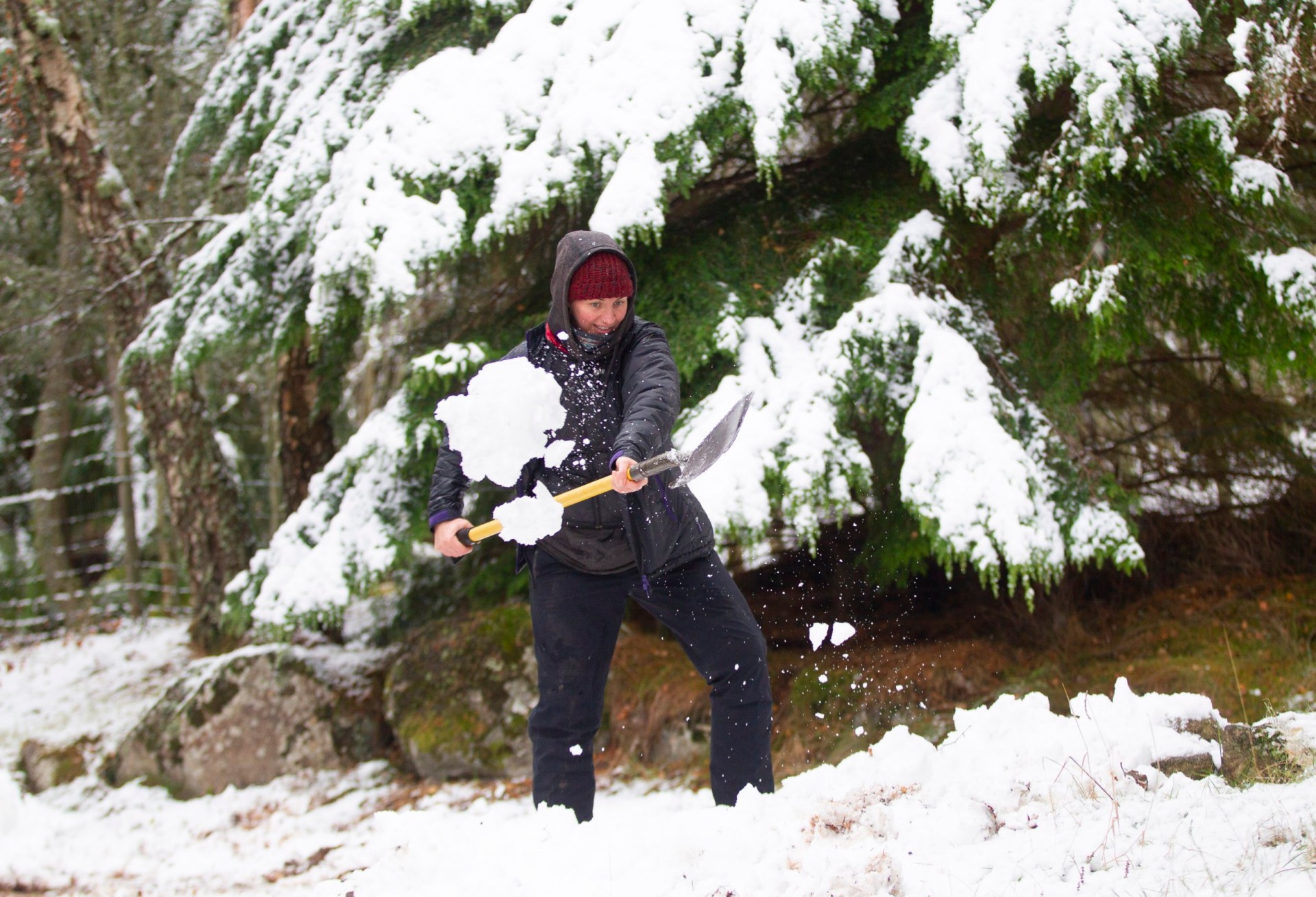 Arctic snap grips UK: Snow and frost warnings issued