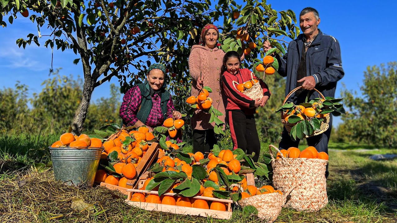 Fresh persimmon from the garden in the village! Sweet cake for the ...