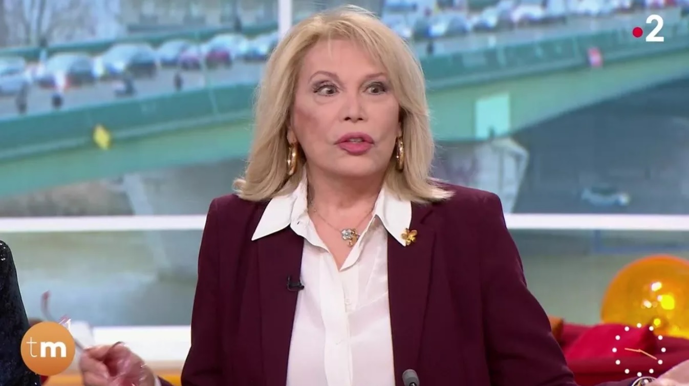 "Ça ne vous regarde pas !" : Amanda Lear recadre un chroniqueur en ...