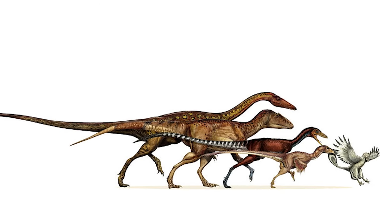 What Fossils Reveal About the Dinosaur Lineage Still Alive Today