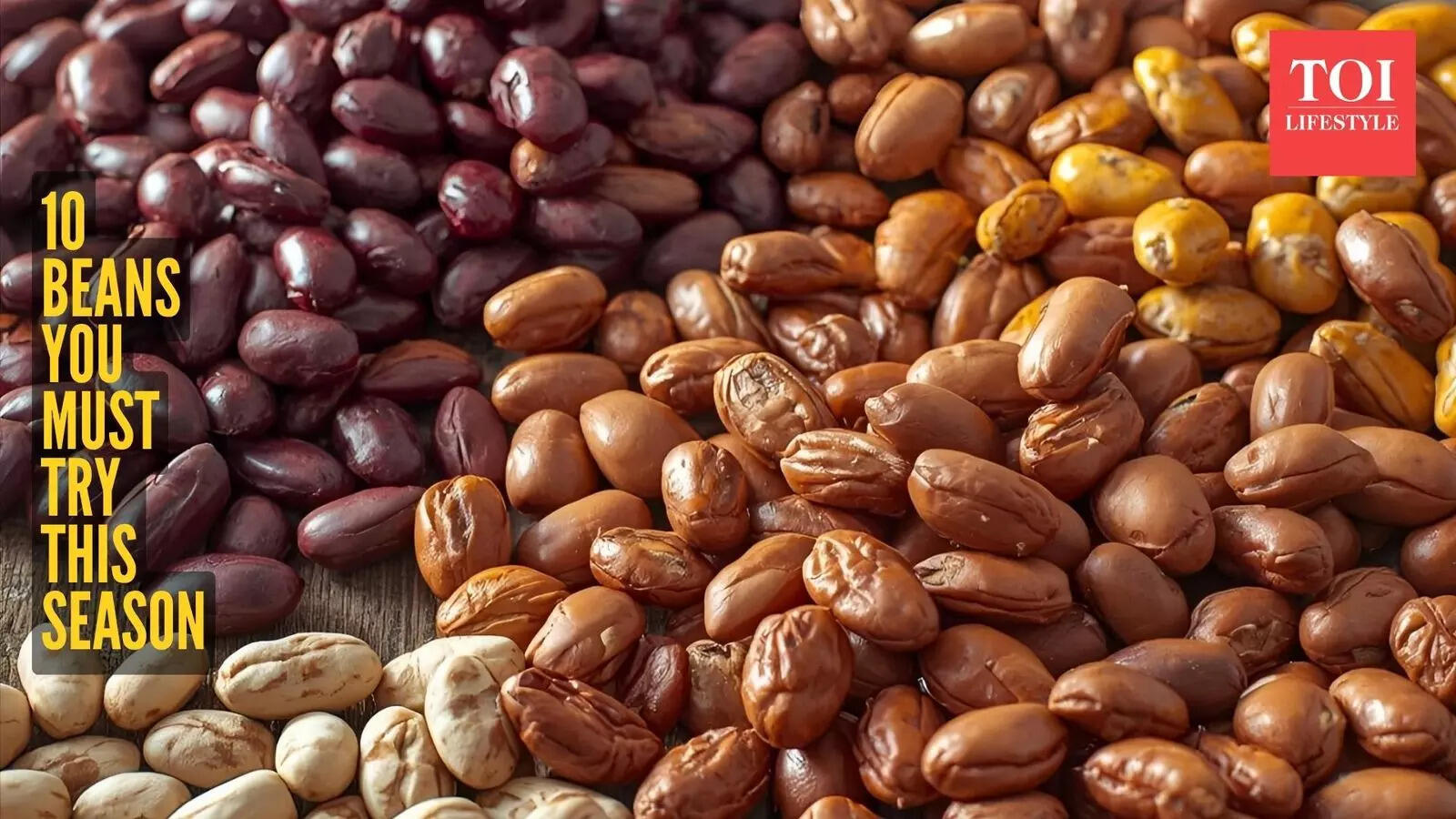 10 types of beans and how much protein they contain