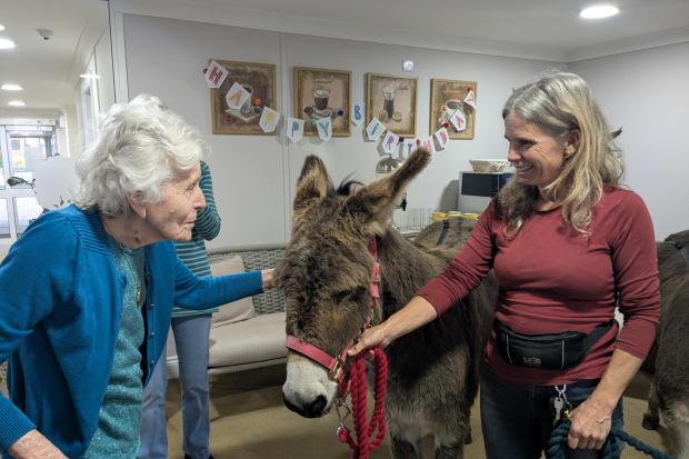 104-year-old's face 'lit up' after special donkey visit