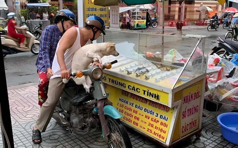 Netizen nói gì về lời khai của Thùy Tiên?