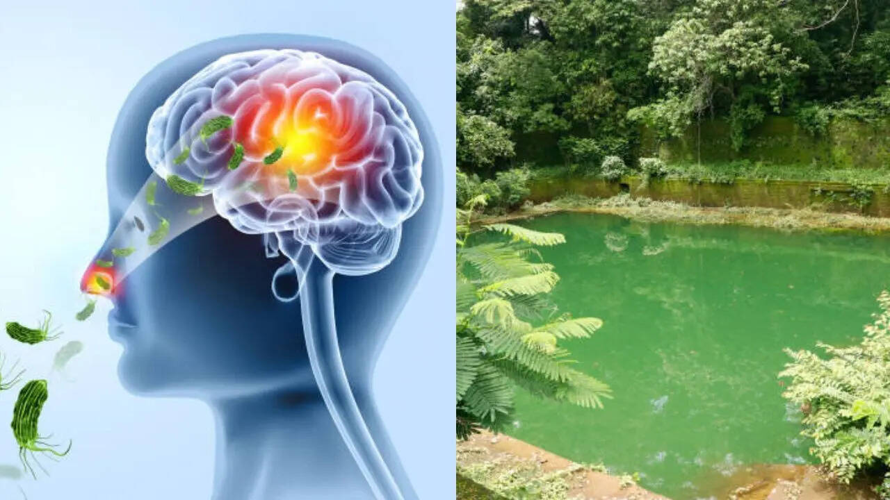 Karnataka Warns Sabarimala Pilgrims: Brain-Eating Amoeba Spike Makes ...