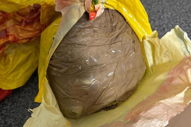 Cannabis found growing in bedrooms of a house