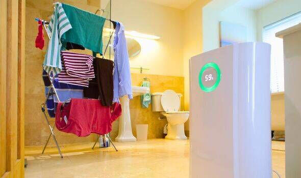 Get the best out of your dehumidifier by doing one easy essential task