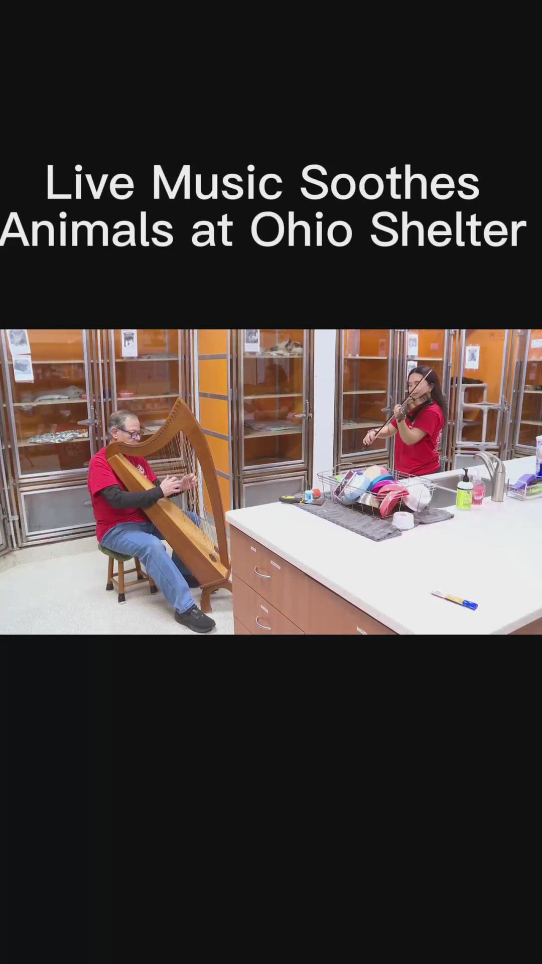 Soothing pets with live music at Friendship Animal Protective League in ...