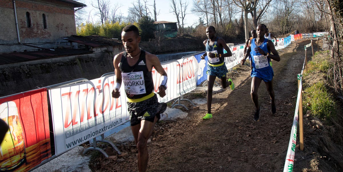 Cinque Mulini, torna la più famosa e antica campestre mondiale. Ci si ...