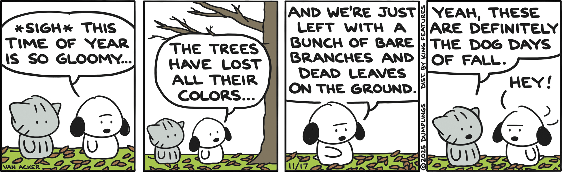 Dumplings by Victor Van Acker