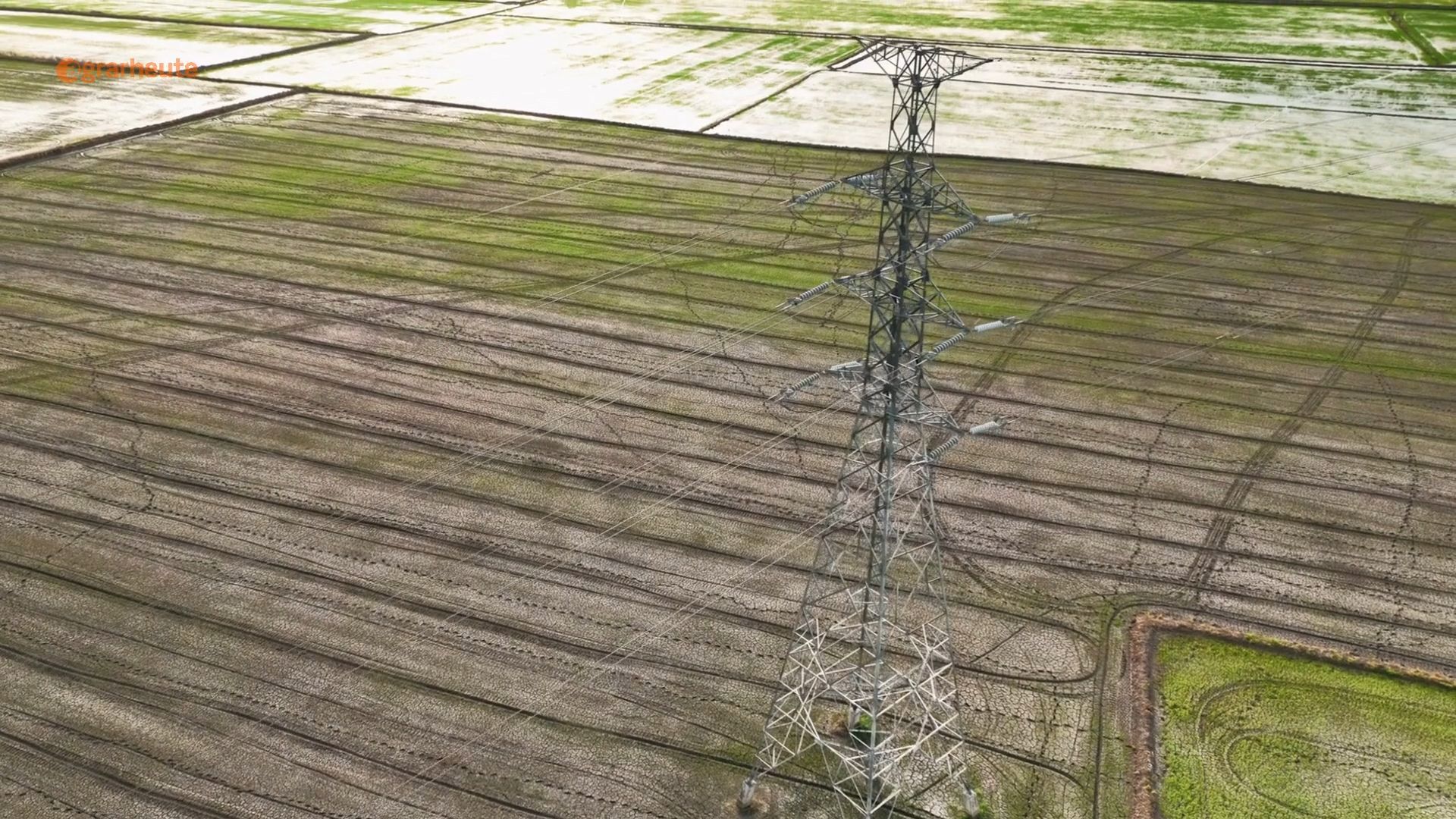 Landwirt wehrt sich gegen Stromleitung – über Acker und Wald: Gericht ...