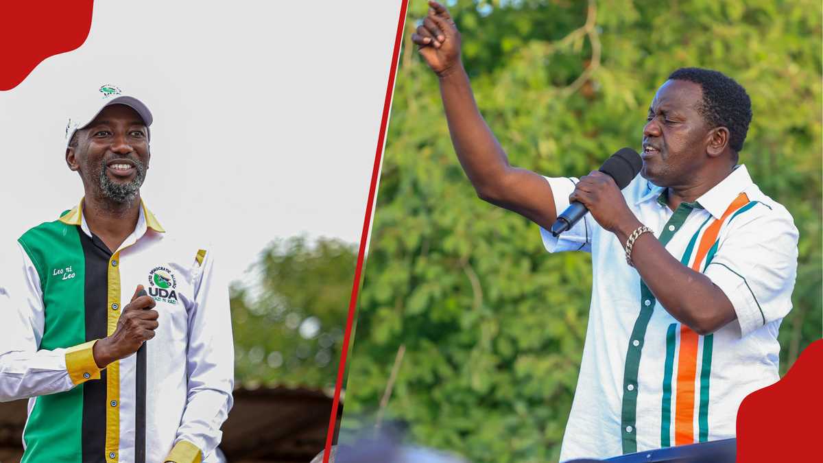 Mbeere North: Embu High Court upholds election of Leo Wa Muthende as MP
