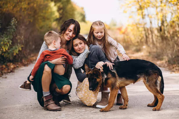 Thinking of a family dog? 5 reasons to choose a German Shepherd