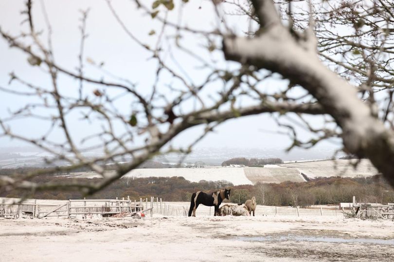Exact time North East will get snow this weekend according to Met ...