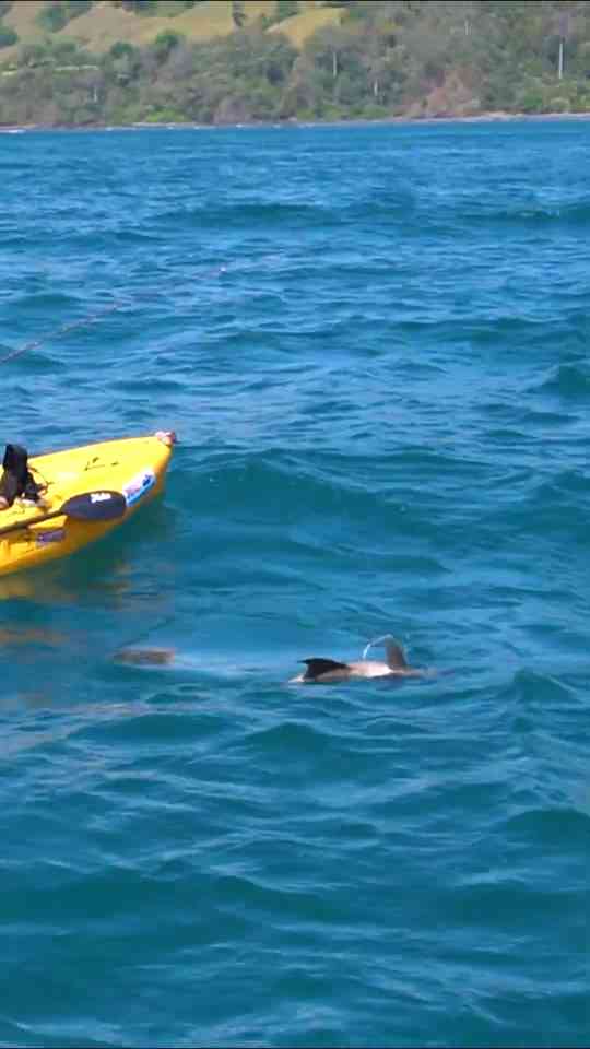 Kayak fishing client catches huge grouper!