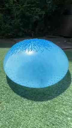 A Random Dog Suddenly Flooded My Garden