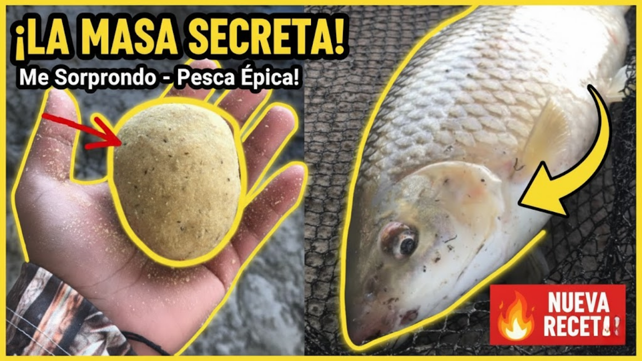 Masa para Boga: Me Sorprendió — Pesca y Cocina en el Río