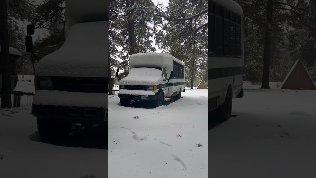 Welcome to our PNW tiny homestead