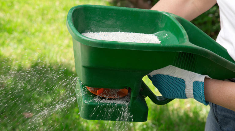 The Holiday Fertilization Strategy That'll Give You A Luscious Lawn By ...