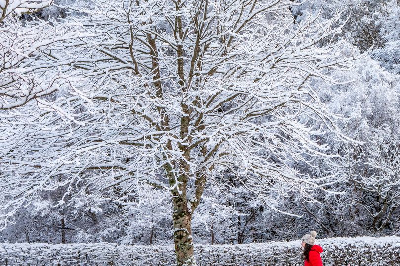 Rare 'thundersnow' warning as 'life-threatening' Arctic blast hits Scotland