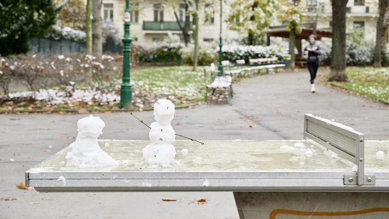 Wie viel Schnee erwartet Wien? Meteorologen liefern Prognosen