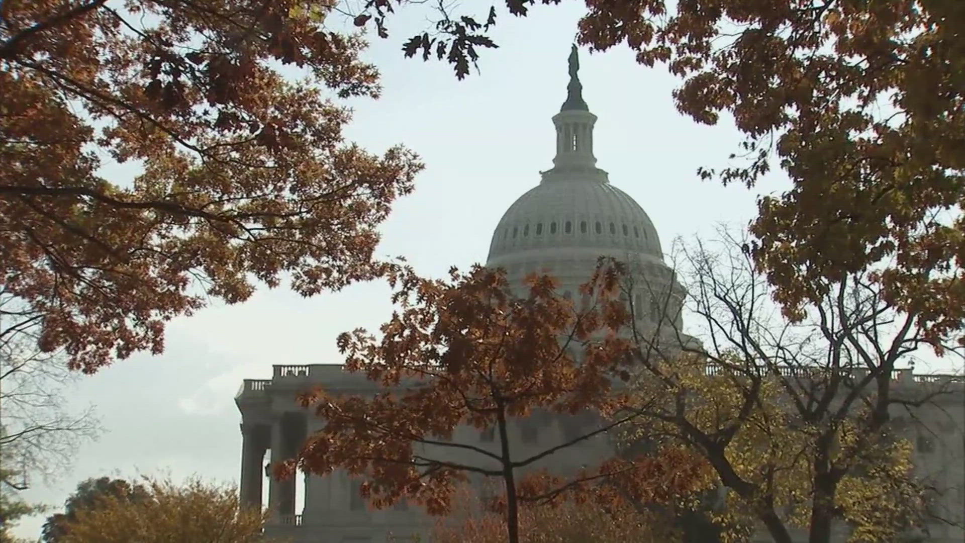 House and Senate decisively vote to release Epstein files