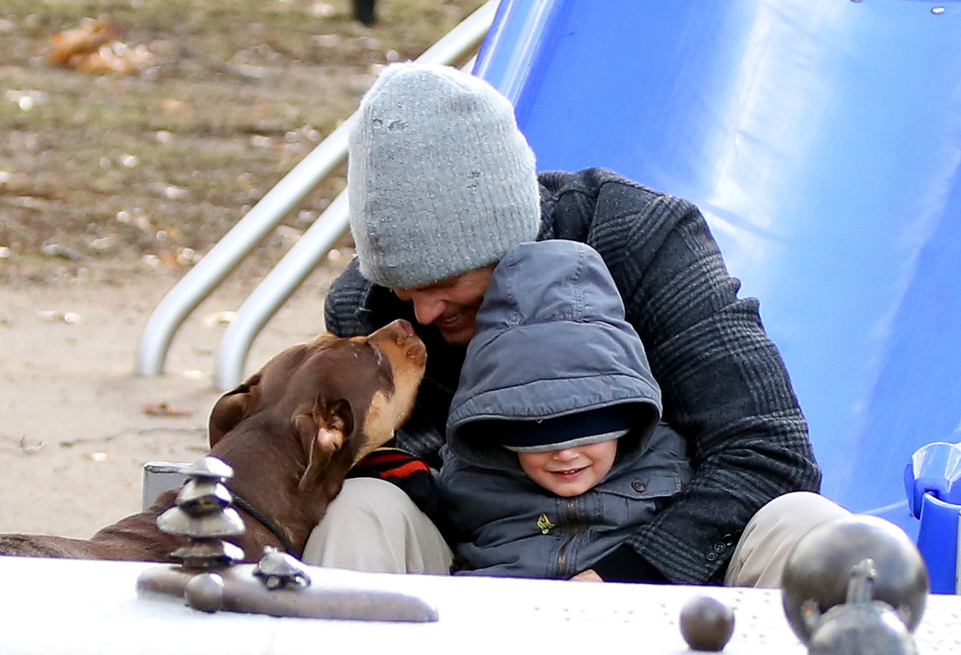 Celebrities who have cloned their dogs (and how it works)
