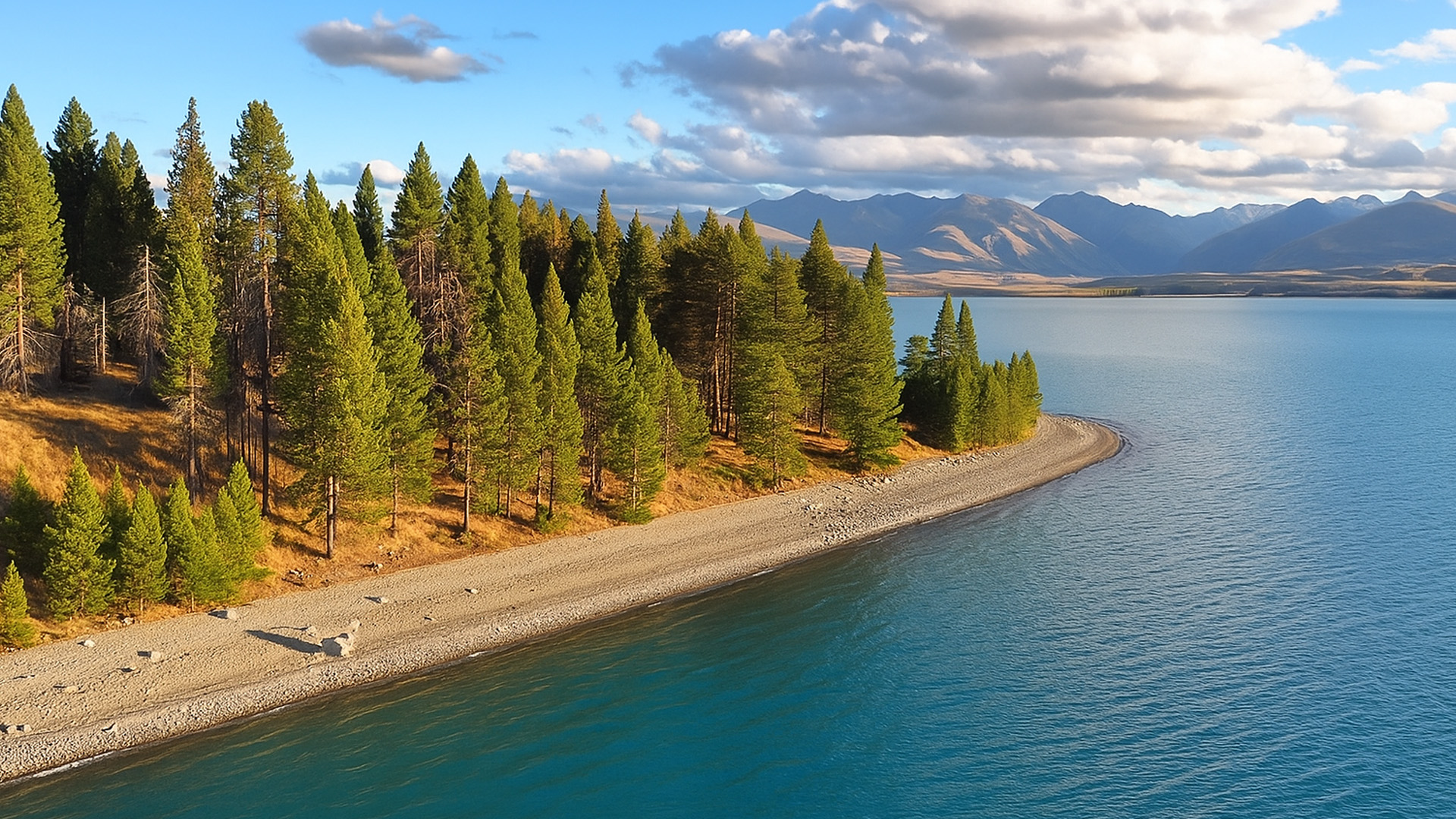 Là où les pins frôlent l’eau turquoise