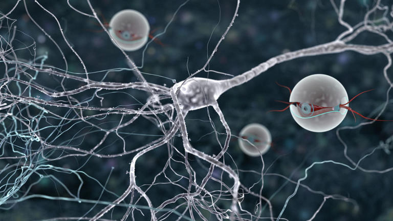 Reconfigurable DNA nanorobots can store energy, compute, and deliver cargo