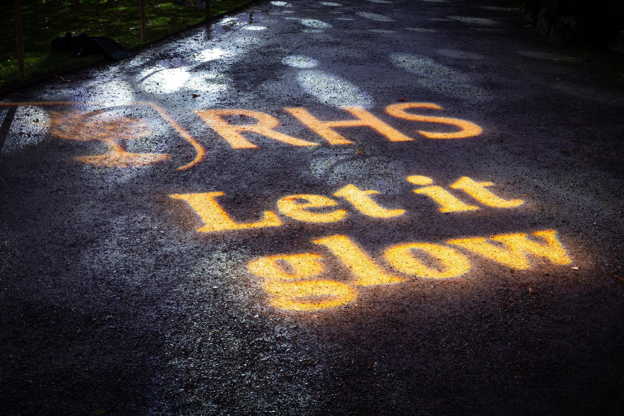 Glow 2025 at RHS Harlow Carr: 17 photos as the winter illuminations ...