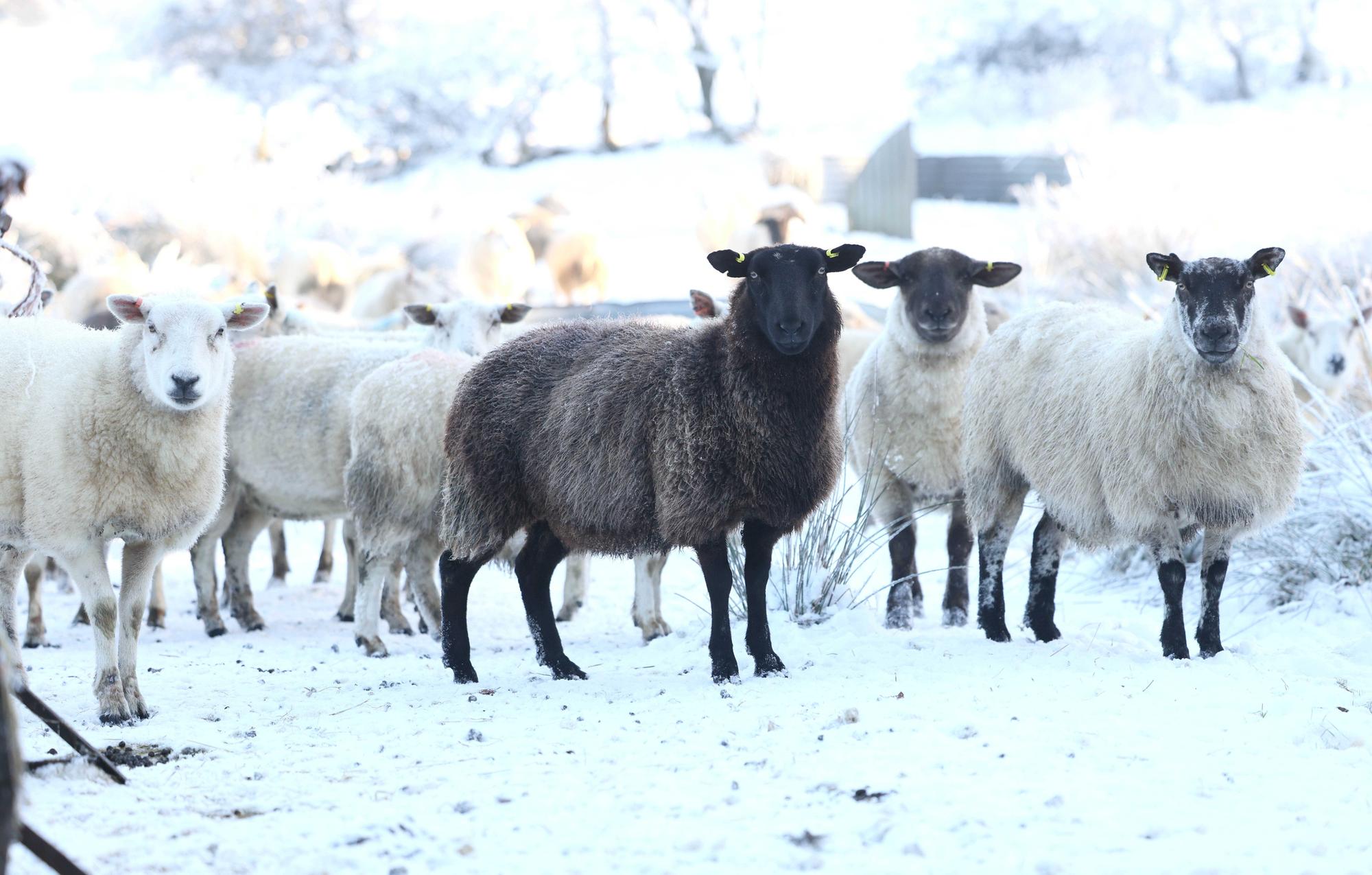 'These conditions aren’t unusual for this time in the year' - See the ...