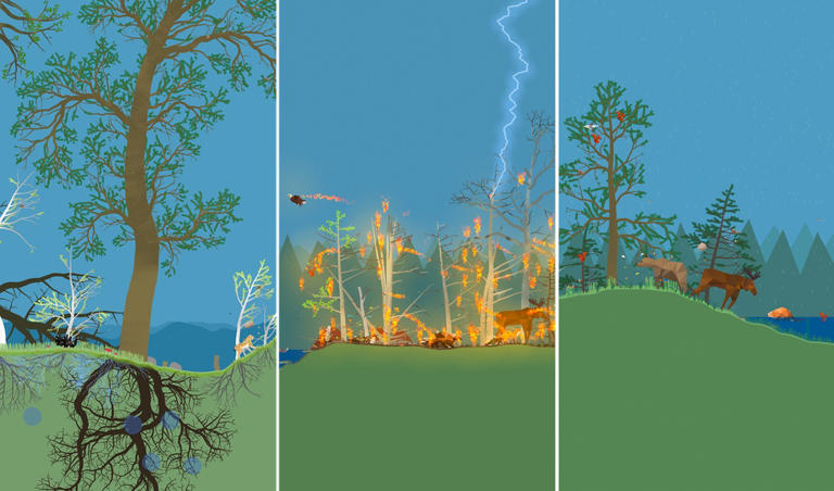 App do Dia – PolyPine