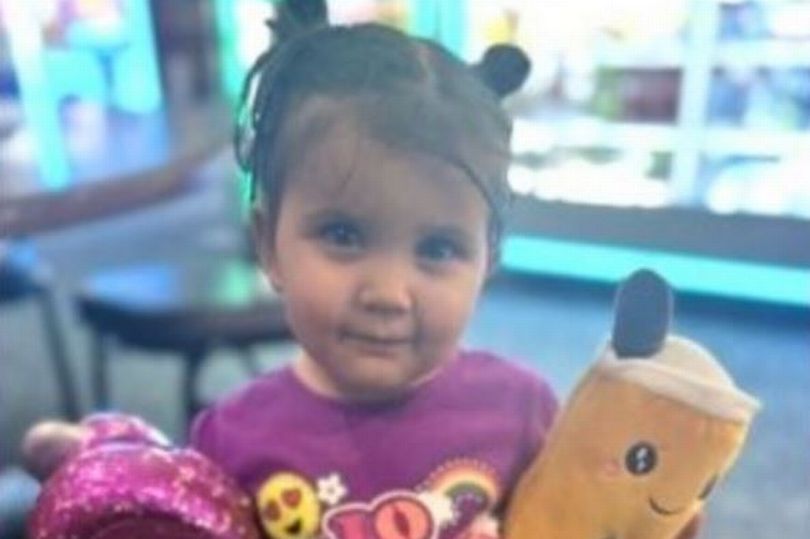 Ohio dad left daughter, 2, in burning car to save himself and told cops ...