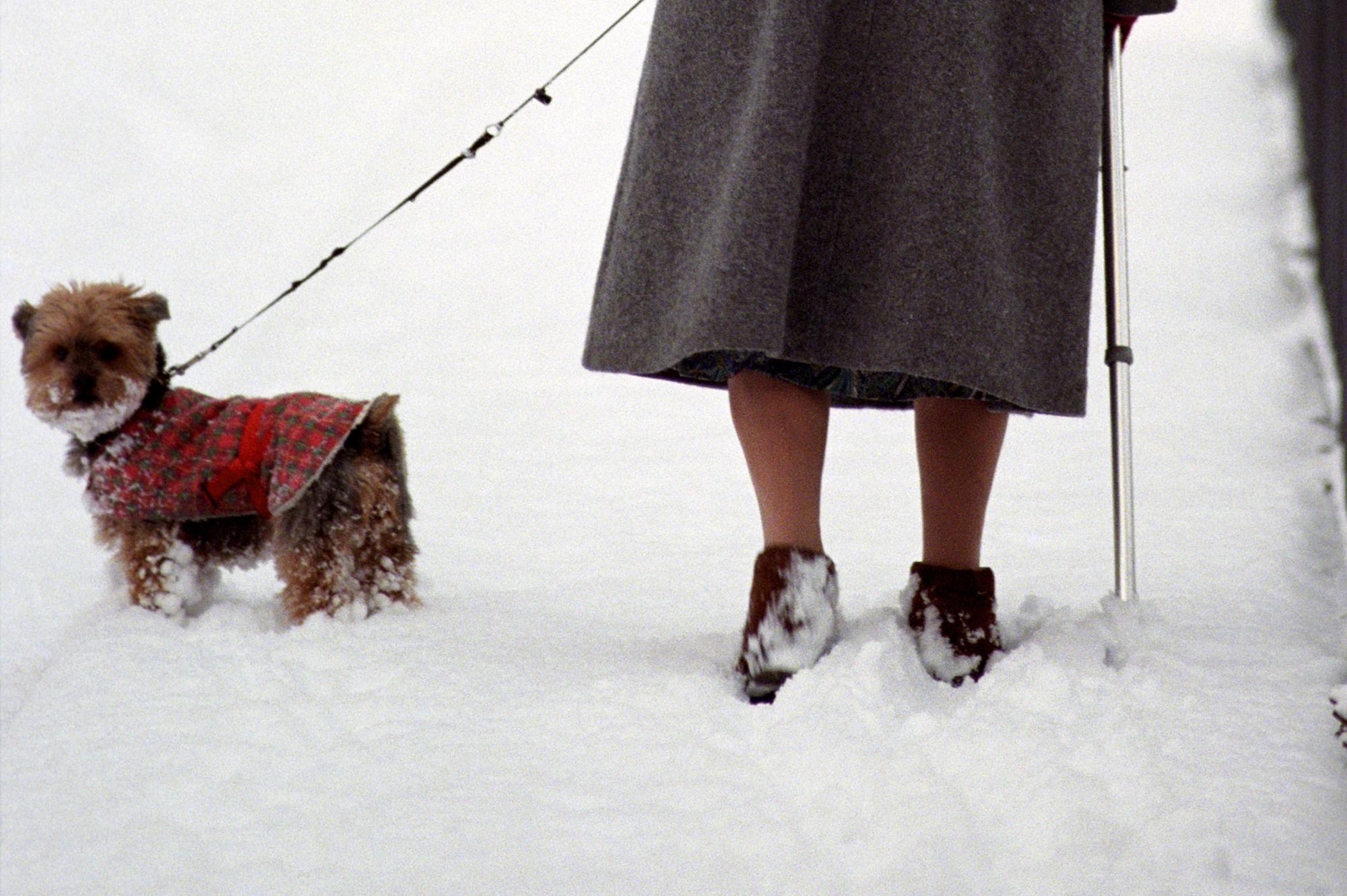 Weather: Met Office issues a second weather alert for today warning of ...