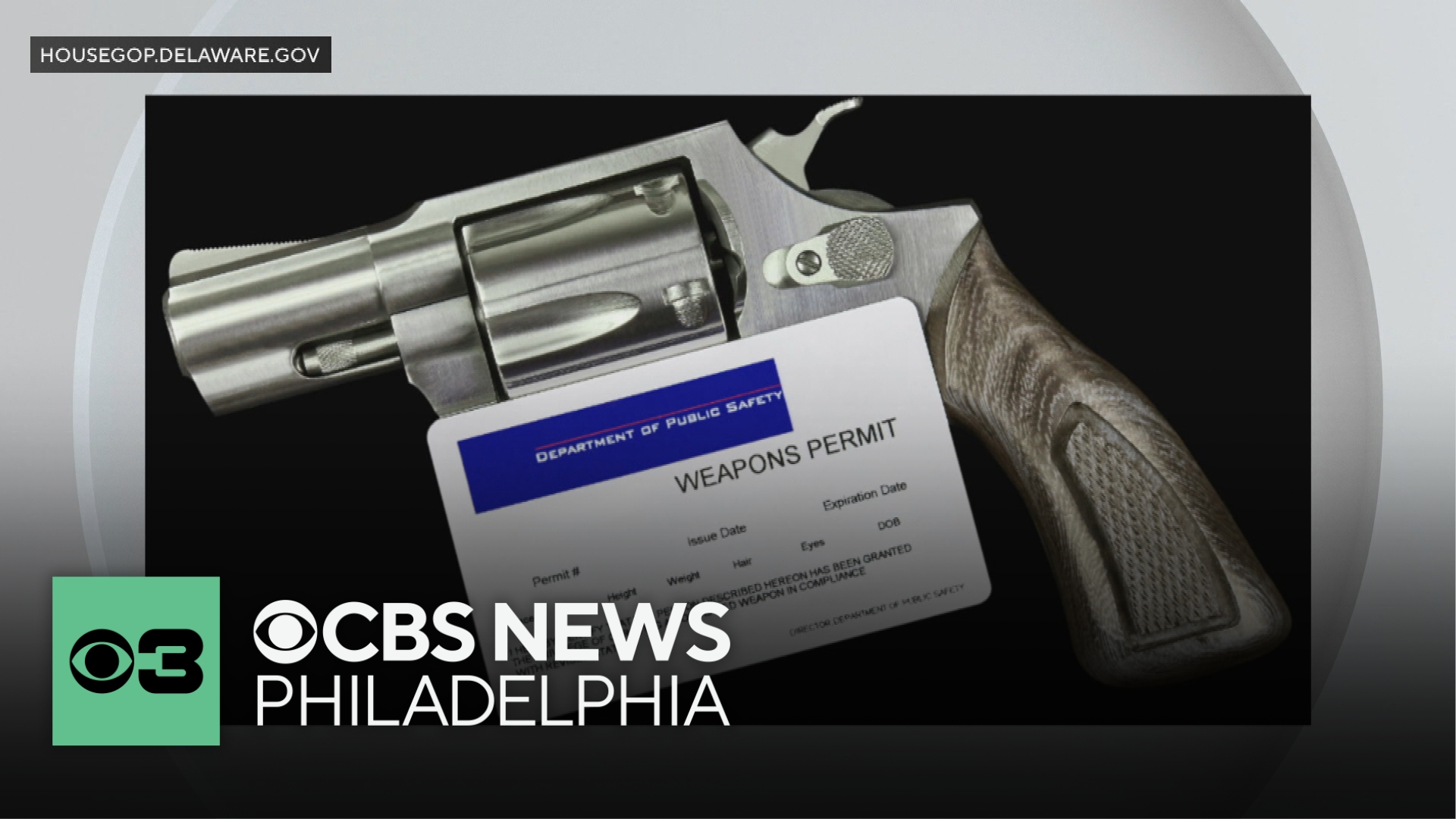 Delaware judge allows state's "permit to purchase" gun law to take effect