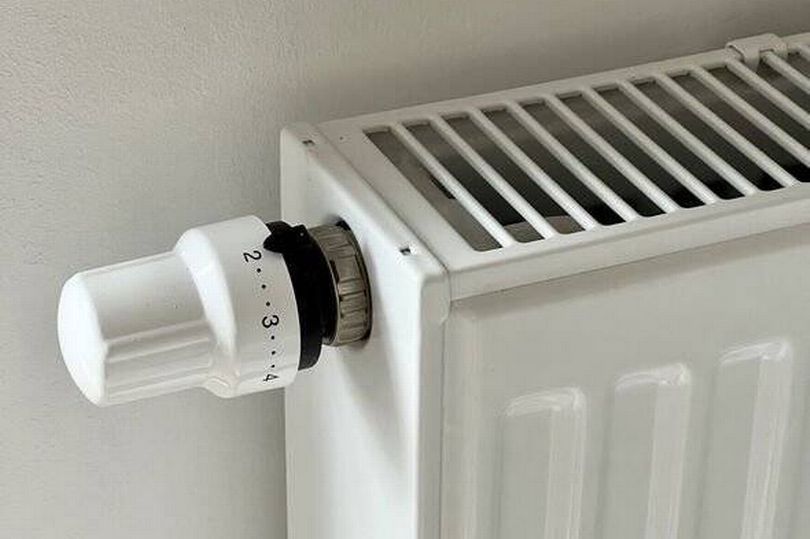 Households urged to put bowls of water by heaters this month as ...