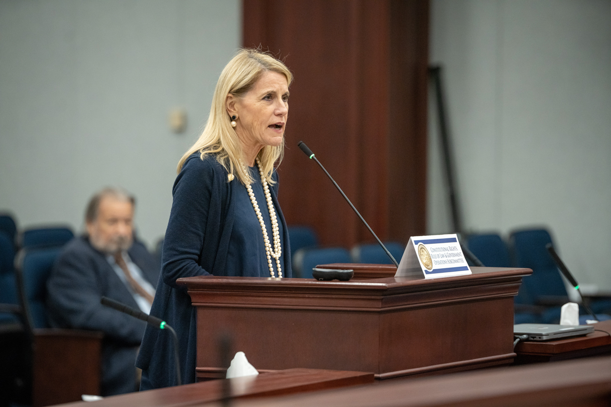 Eligen a Vicki López para ocupar la silla que deja Eileen Higgins en ...