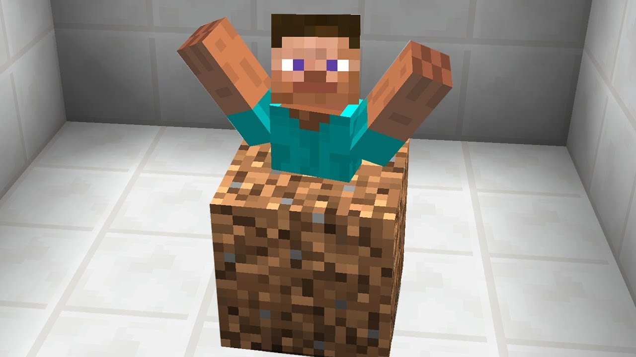Stuck inside a Minecraft block...