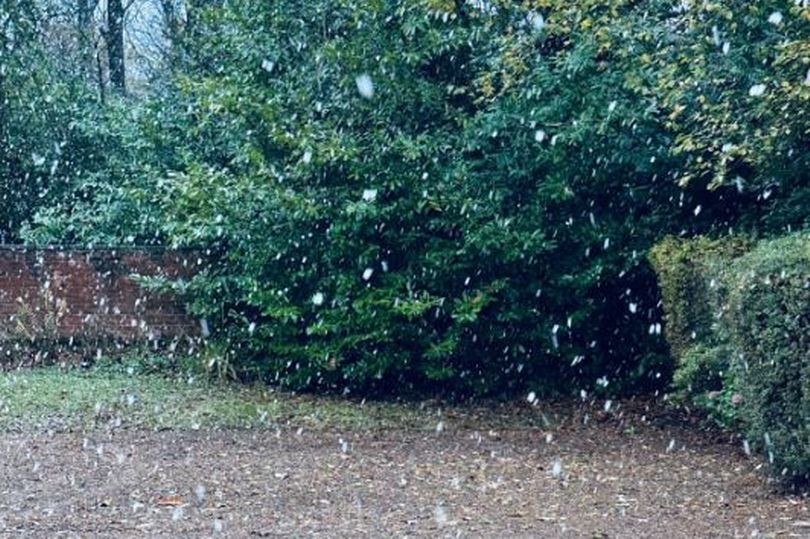 WATCH: First flurries of snow fall in Kent as temperatures plummet