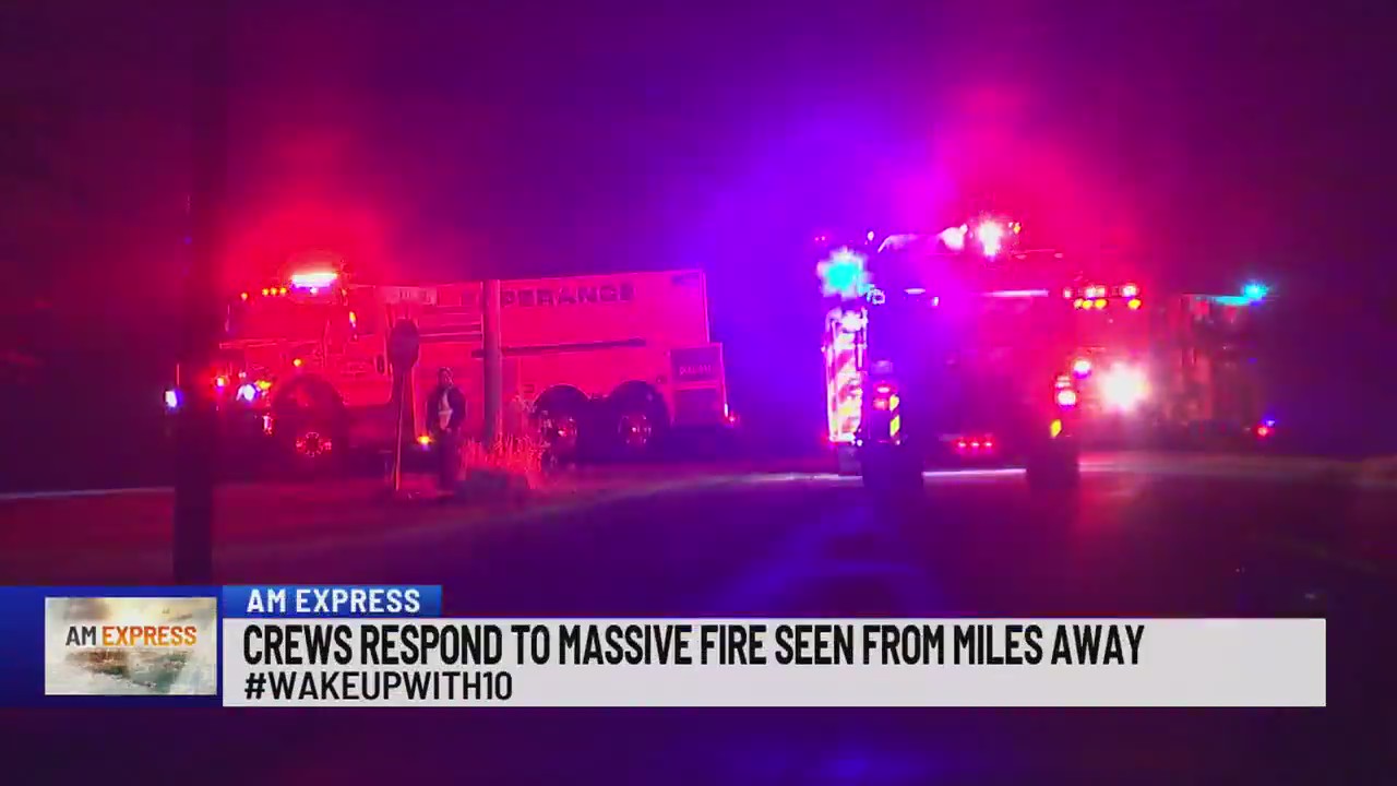 Things to know this November 19