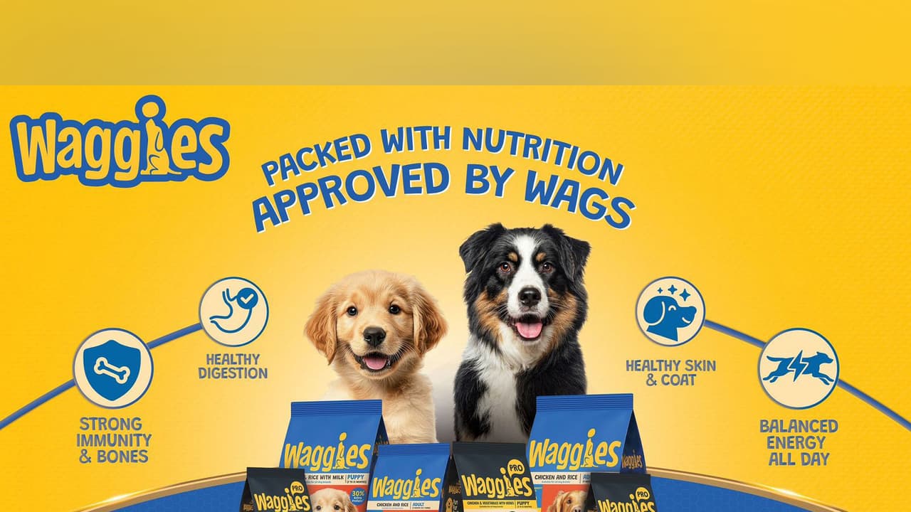 Reliance enters pet-care market with affordable Waggies pet food brand