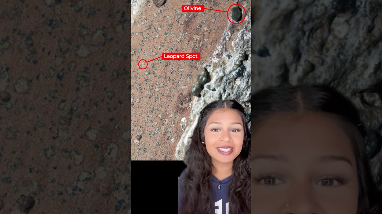 NASA finds signs of ancient life on Mars