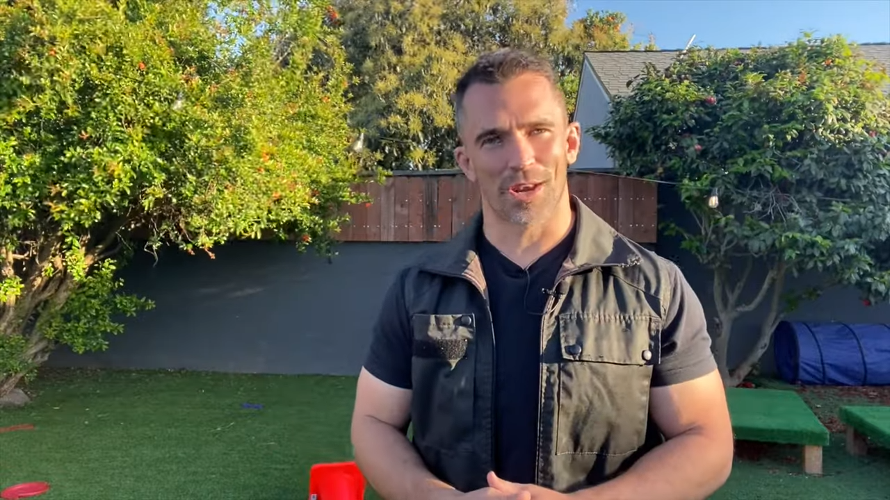 The Essential First Step to Train Your Dog in Competitive Tracking