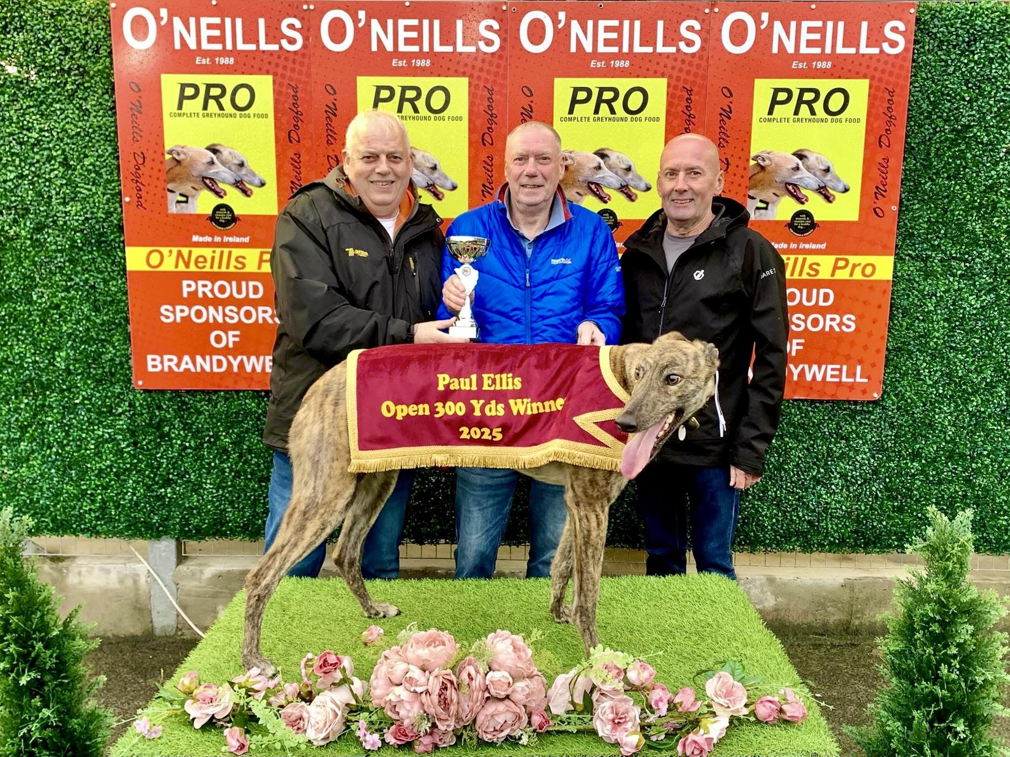 Allydoyle Tina wins €10,000 Shelbourne Puppy Oaks for Derry butcher ...