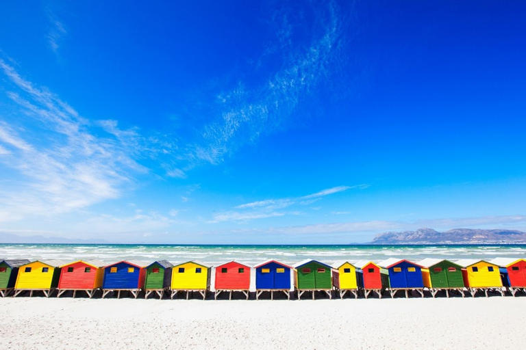 Where to swim: Cape Town’s top Blue Flag beaches this summer
