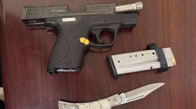 Strawberry Crest Student With Knife And Gun Arrested After Trying To ...