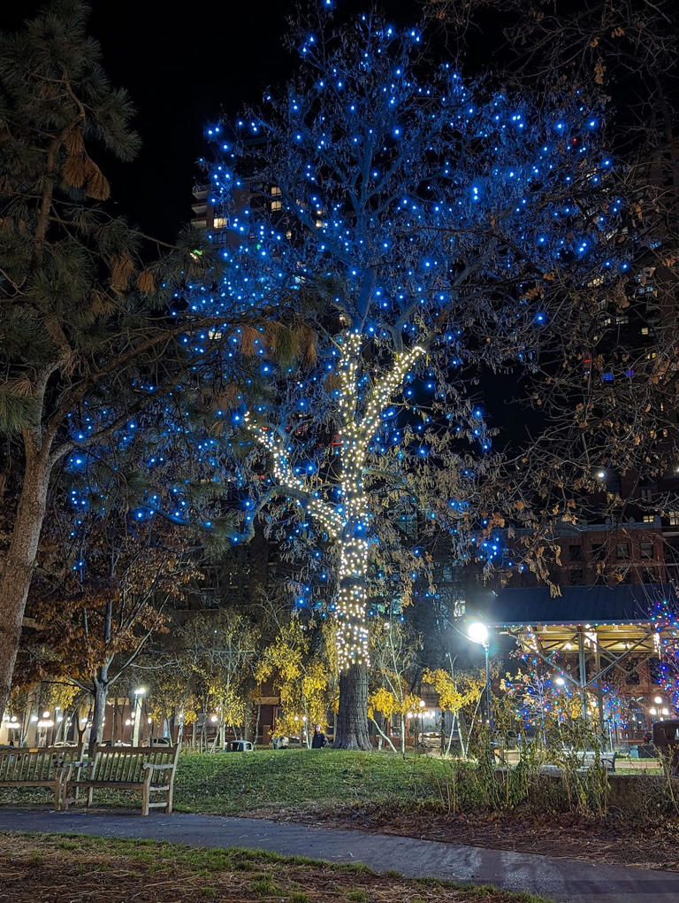 Kick Off the Holidays with Minnesota Tree Lighting Celebrations and ...