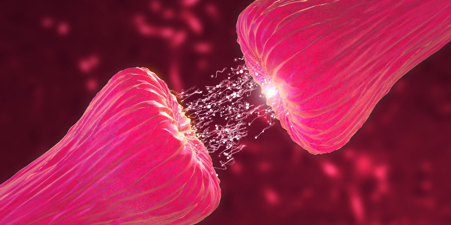 Scientists pinpoint cellular mechanism behind psilocin’s effects on ...